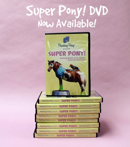 Announcing the Super Pony! DVD Release